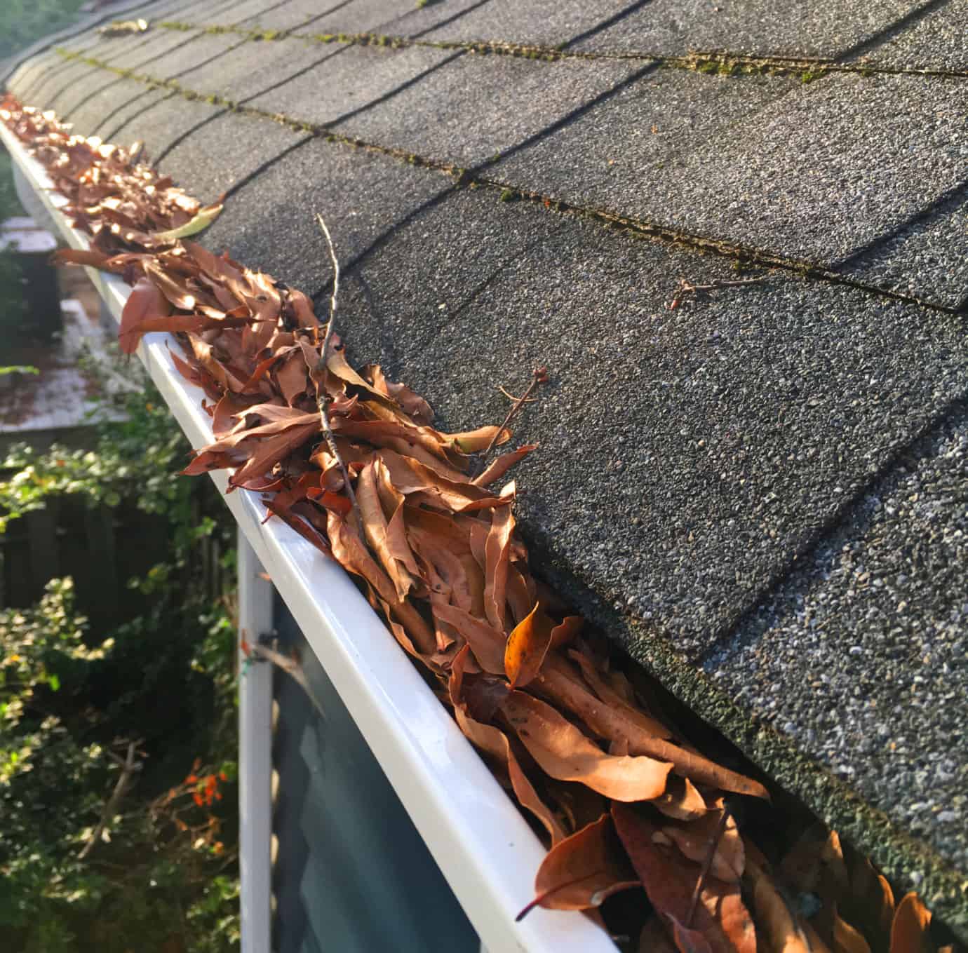 Mind In The Gutters - Lazy Guy DIY