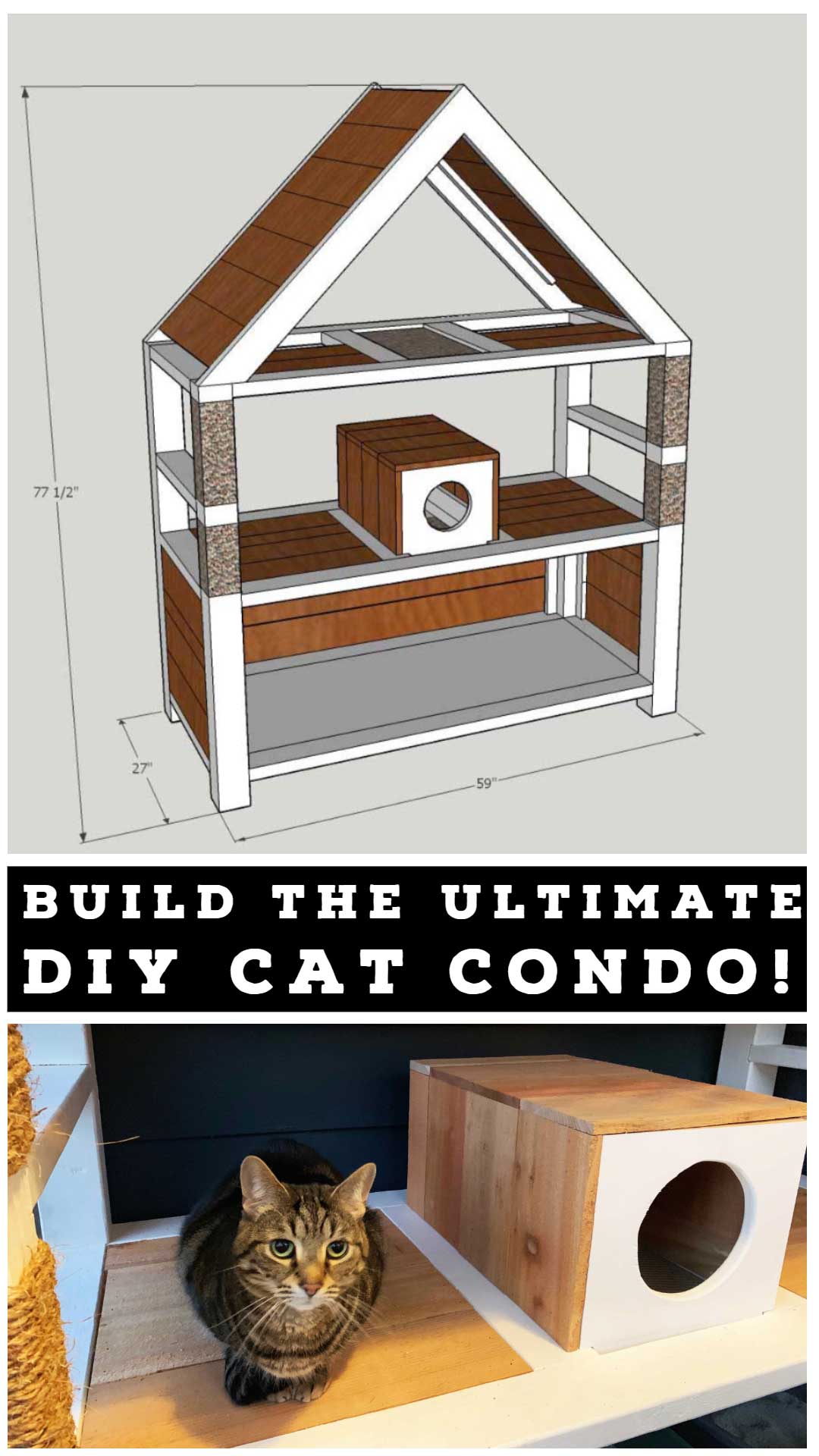 Ultimate DIY Cat Condo - Lazy Guy DIY